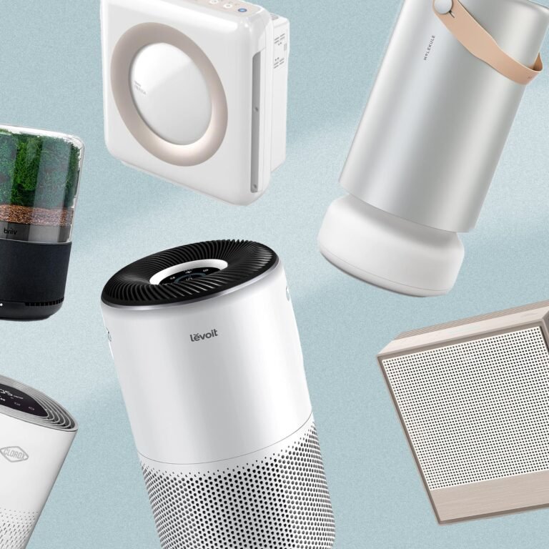 Air Purifiers under $100 Vs Air Purifiers Over $300: Worth the Cost ...