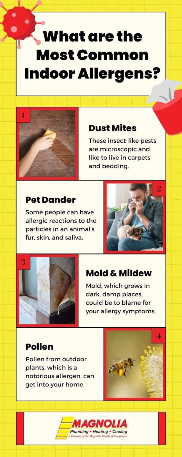 Can Air Purifiers Help With Indoor Pollen And Dust? Find Out Now! - Air ...