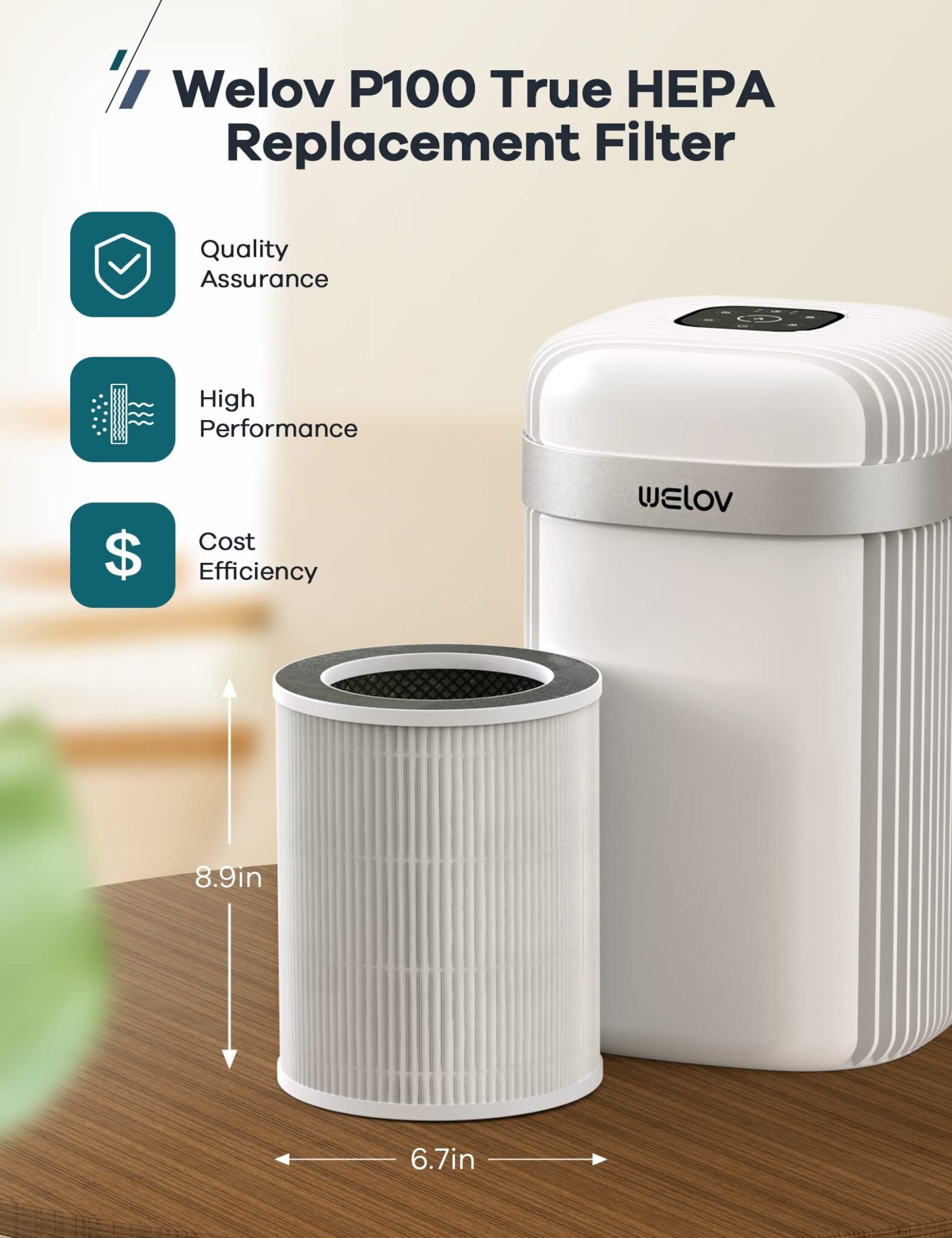 Cost-Effective Air Purifiers Vs High-Performance Models: Smart Choices ...