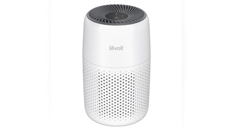 Best One Room Air Purifier for Cleaner, Fresher, and Healthier Air ...